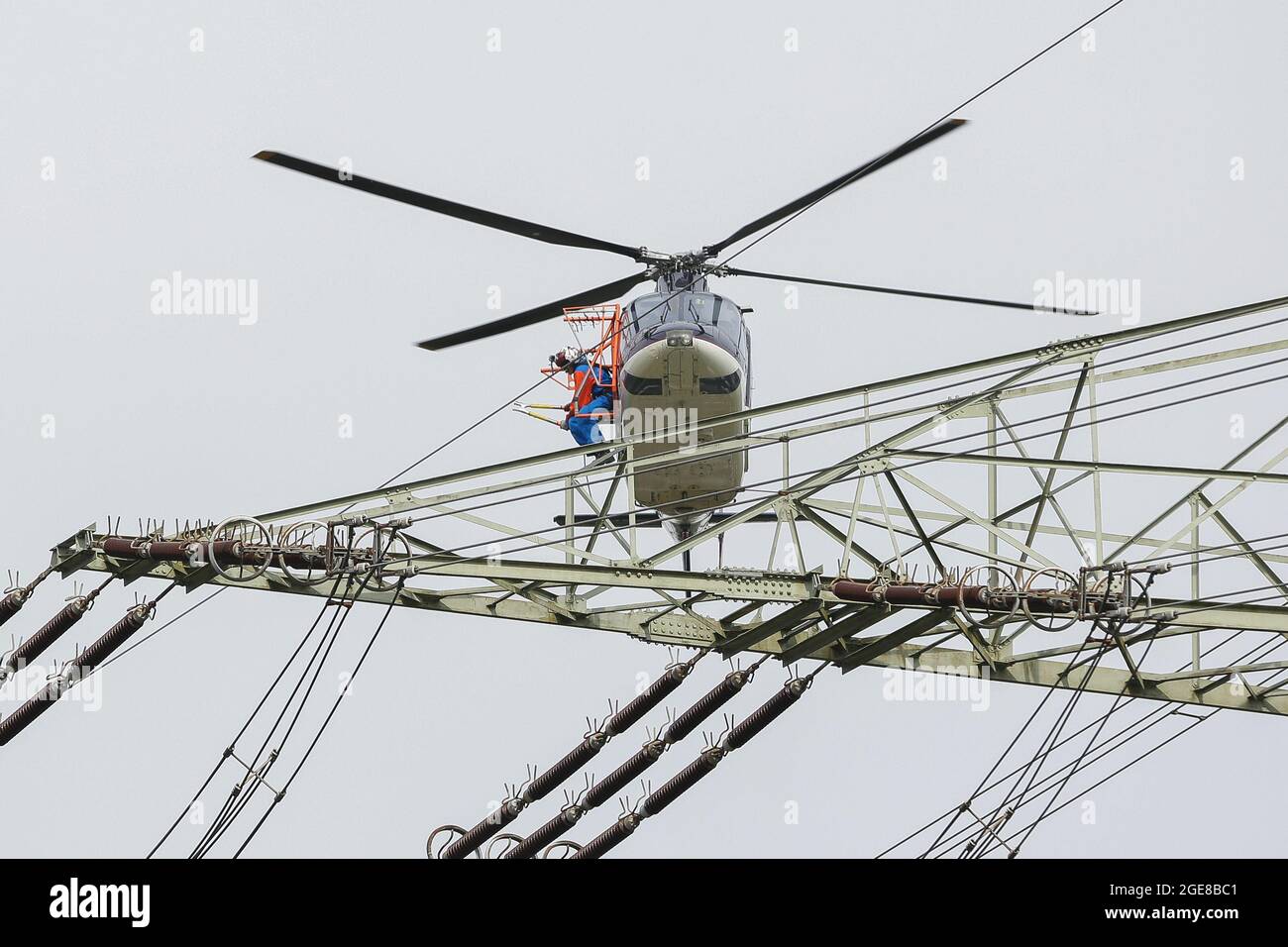 Bird electricity cable pylon hi-res stock photography and images - Alamy