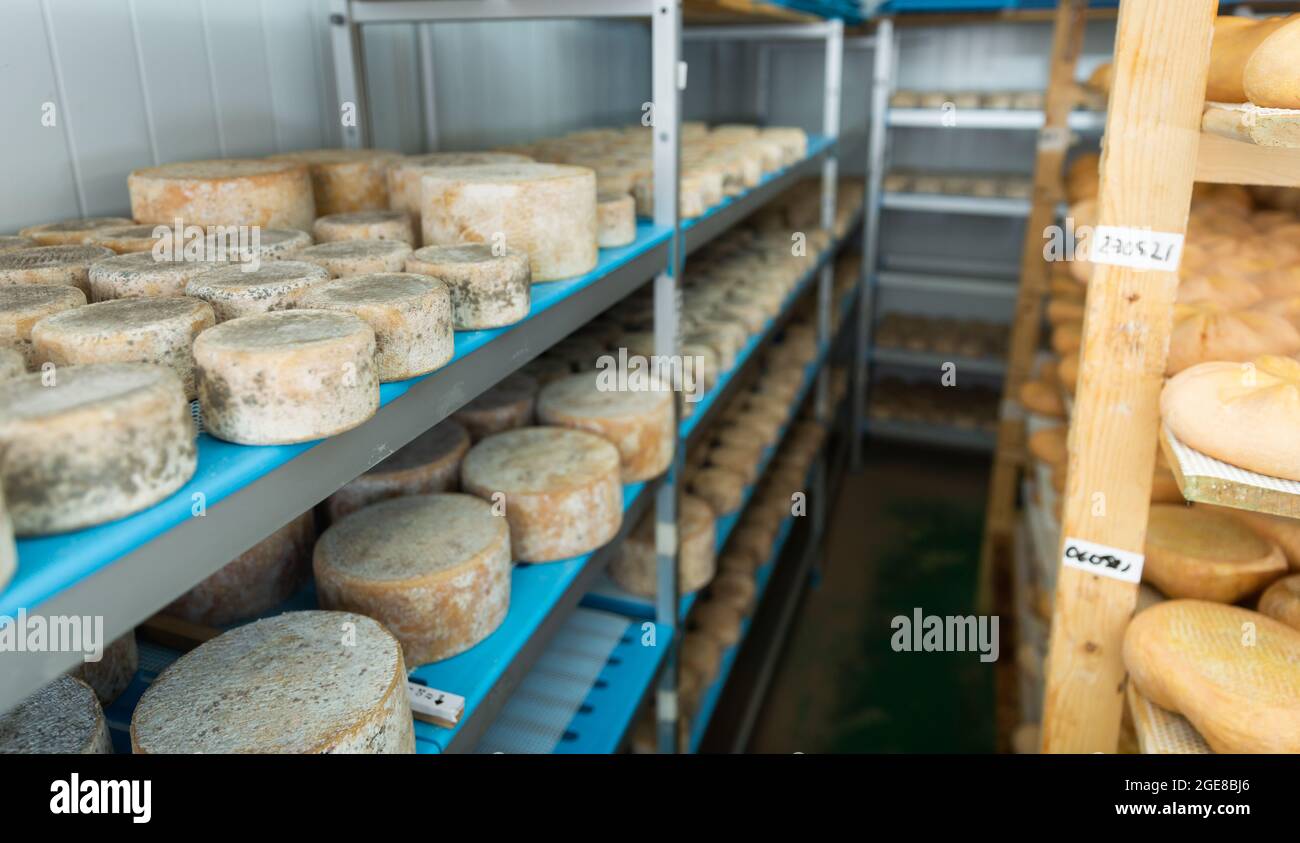 Shelves with cheese at cheese warehouse. Numbers on white pieces of ...