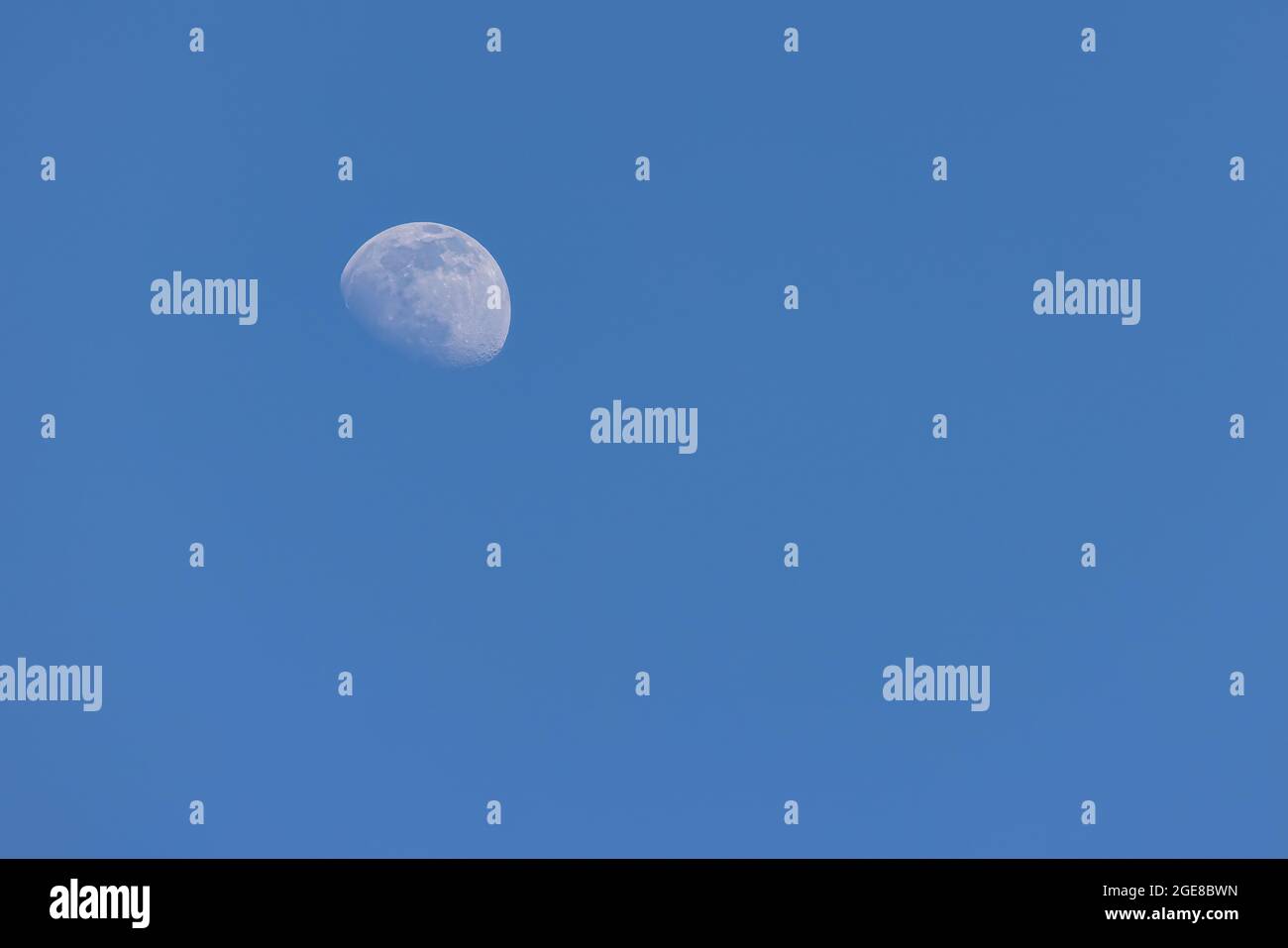 half moon in the bright blue sky in the late afternoon without clouds ...