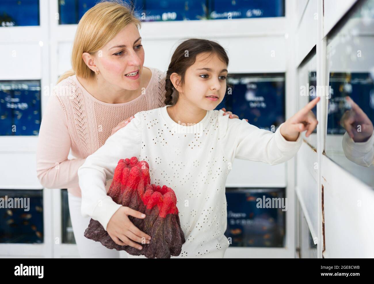 Cute girl with her mother customer buying tropical fish Stock Photo - Alamy