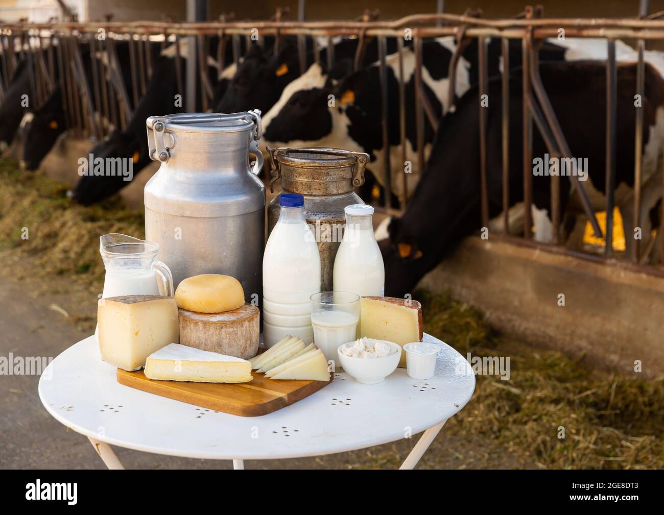 Image of dairy products on the farm Stock Photo - Alamy
