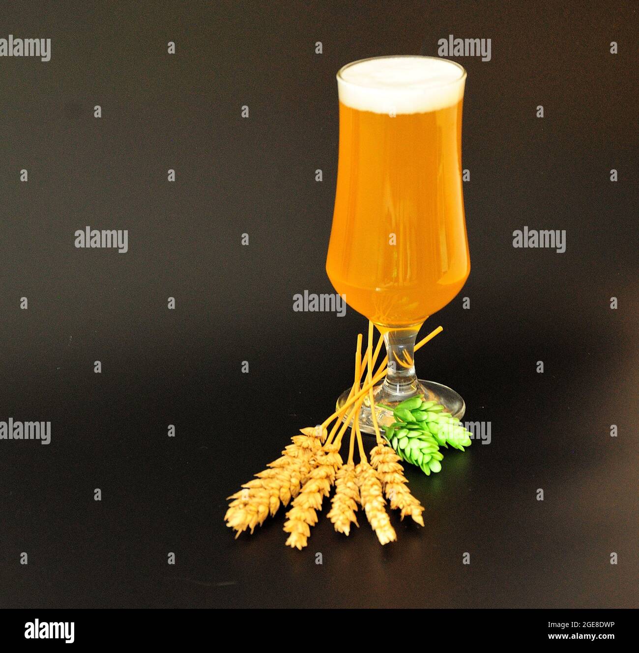 Tall glass goblet of light wheat beer with white foam, several ears and ...