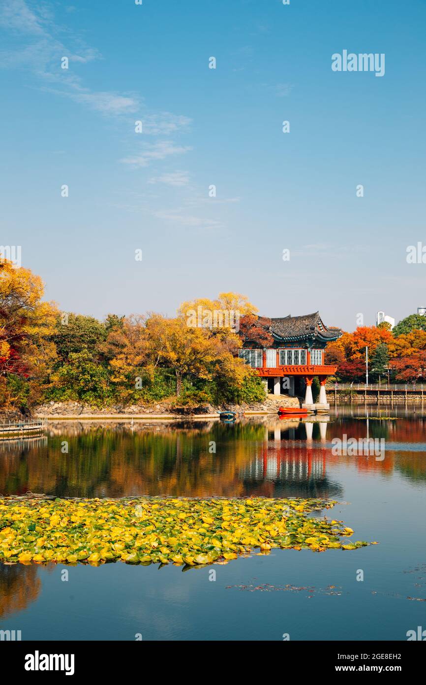 Autumn of Duryu Park Seongdangmot pond in Daegu, Korea Stock Photo - Alamy