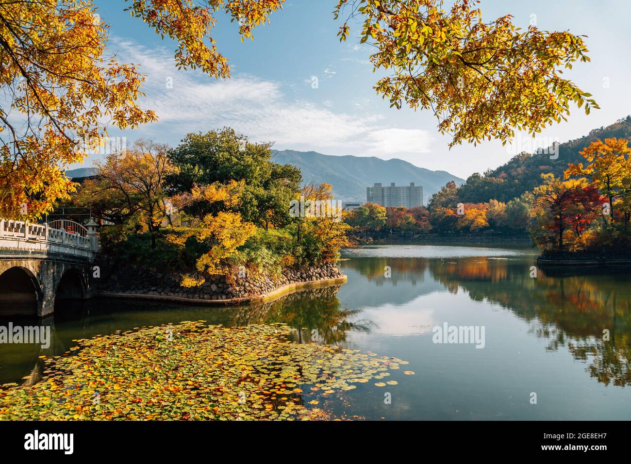 Autumn of Duryu Park Seongdangmot pond in Daegu, Korea Stock Photo - Alamy
