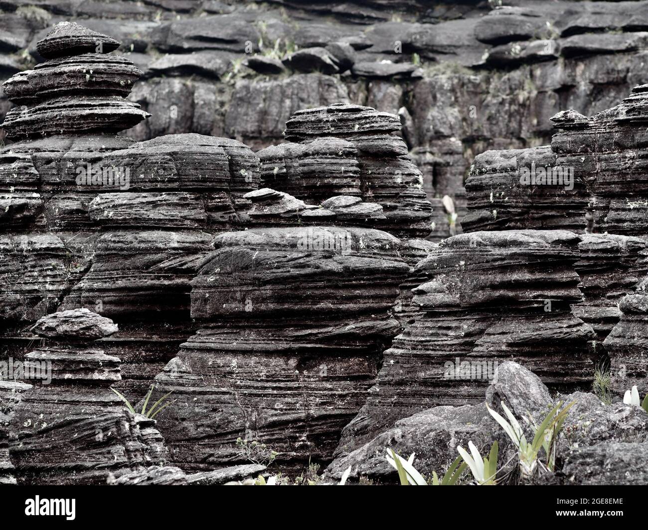 Mount roraima national park hi-res stock photography and images - Alamy