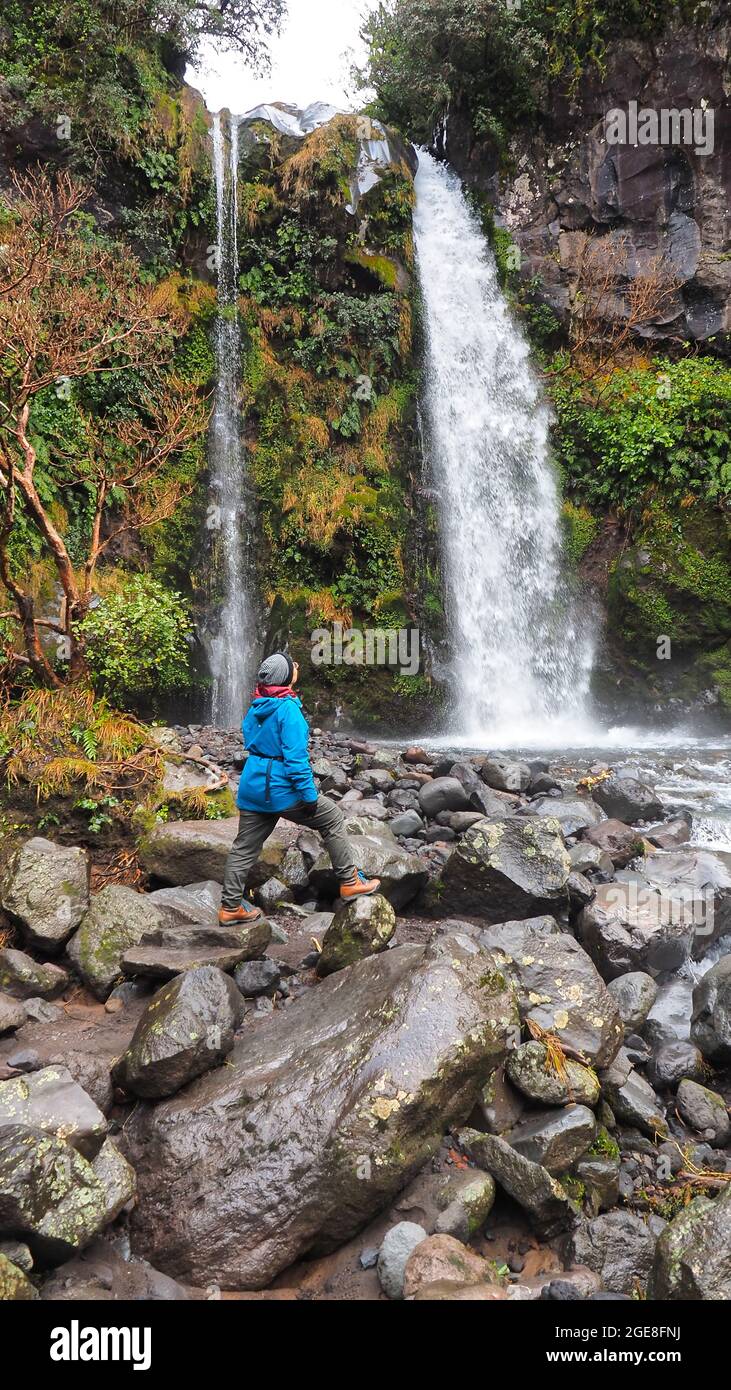 A middle aged female hiker (62) at the base of Dawson Falls in rain, in ...