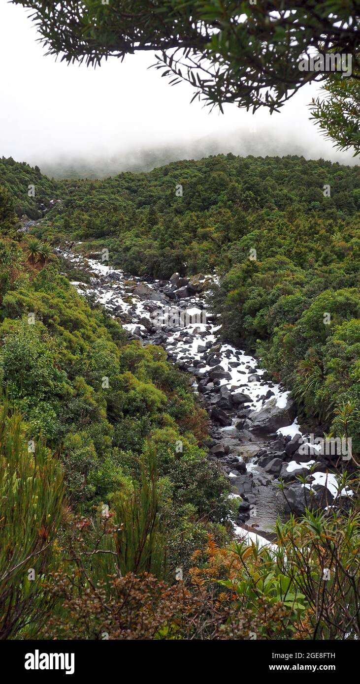 Mt taranaki area new zealand hi-res stock photography and images - Alamy