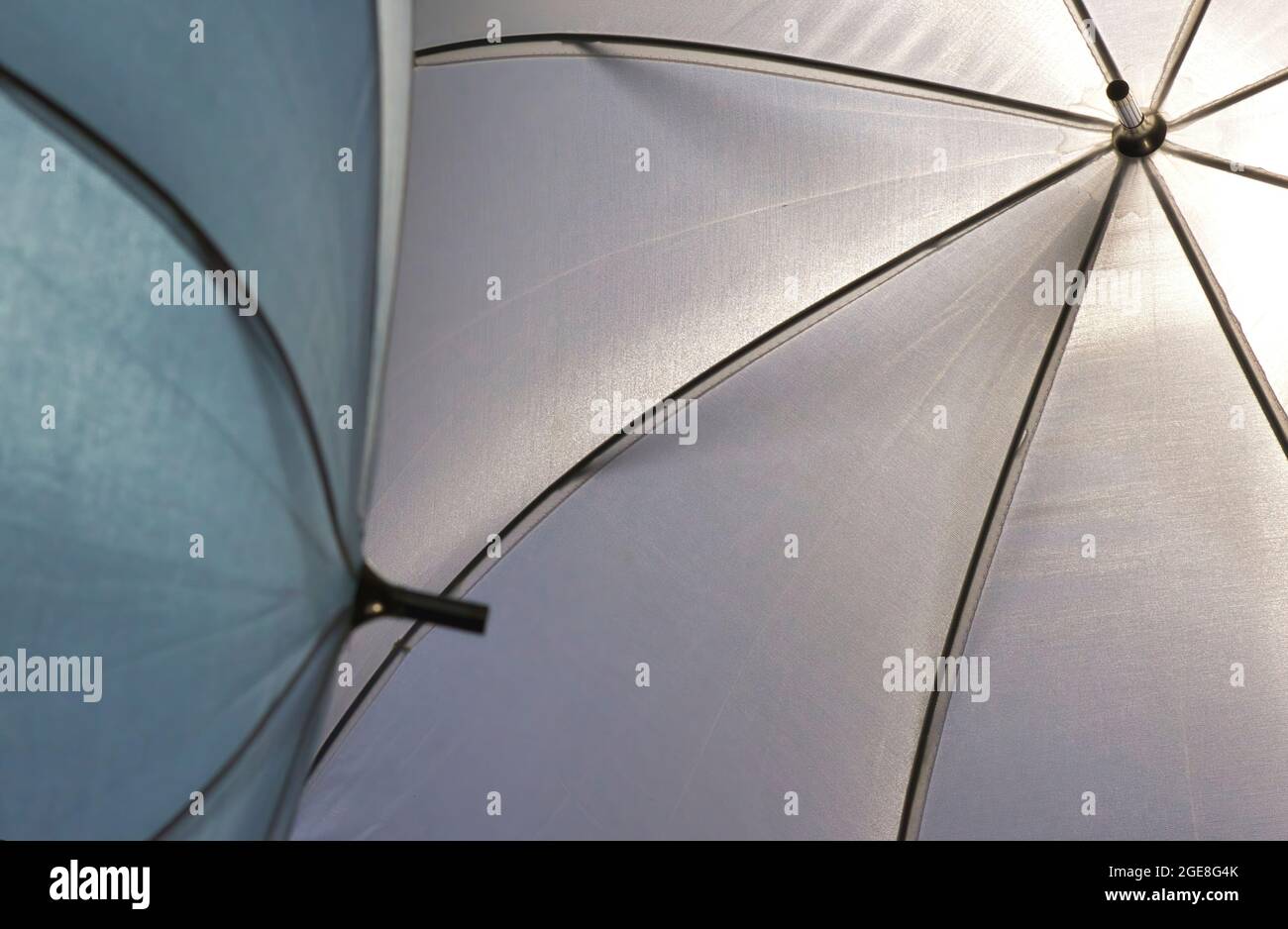 Canopy coverage hi-res stock photography and images - Alamy