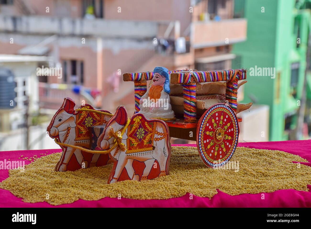 Traditional Indian wooden farmer sitting on a bull cart in rice grains ...