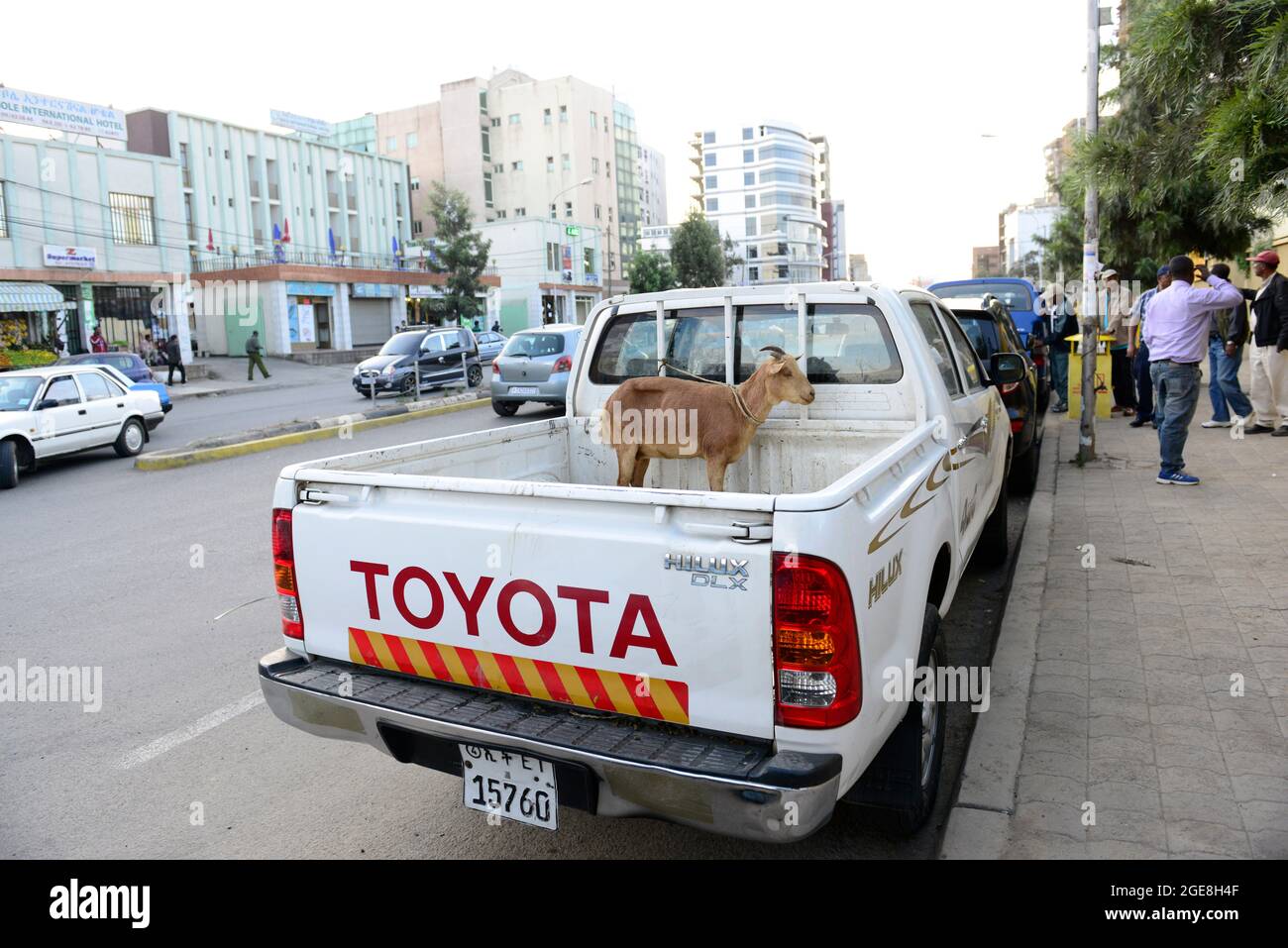 Goat truck hi-res stock photography and images - Alamy
