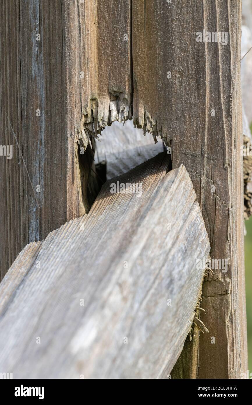 Wooden beams linked across wooden posts in a park Stock Photo - Alamy