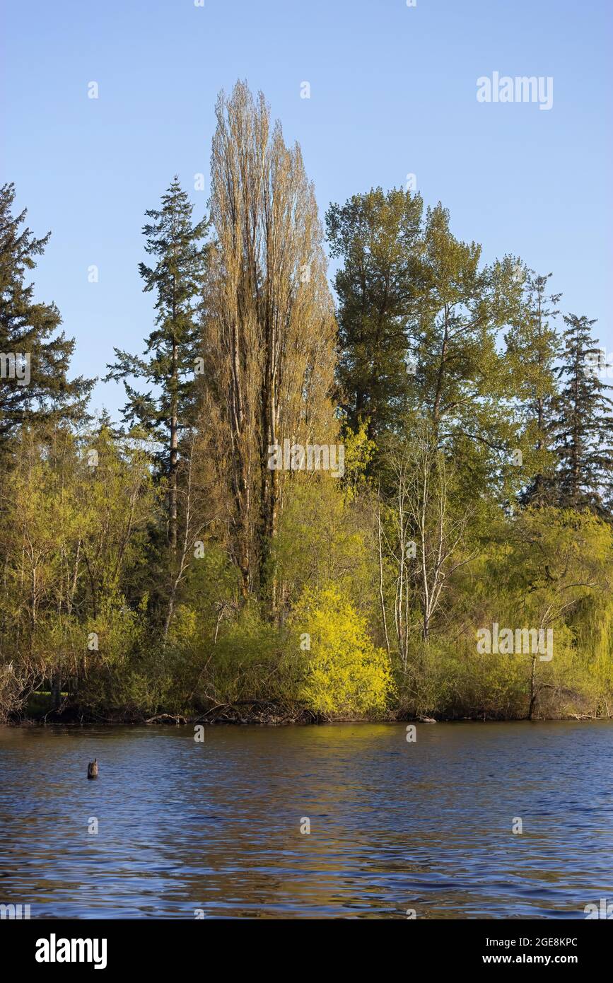 Edge of lake october hi-res stock photography and images - Alamy