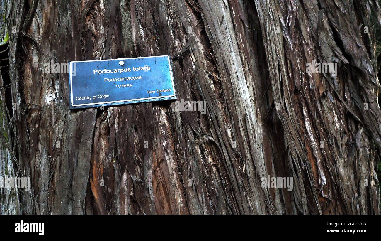 Botanic identification hi-res stock photography and images - Alamy