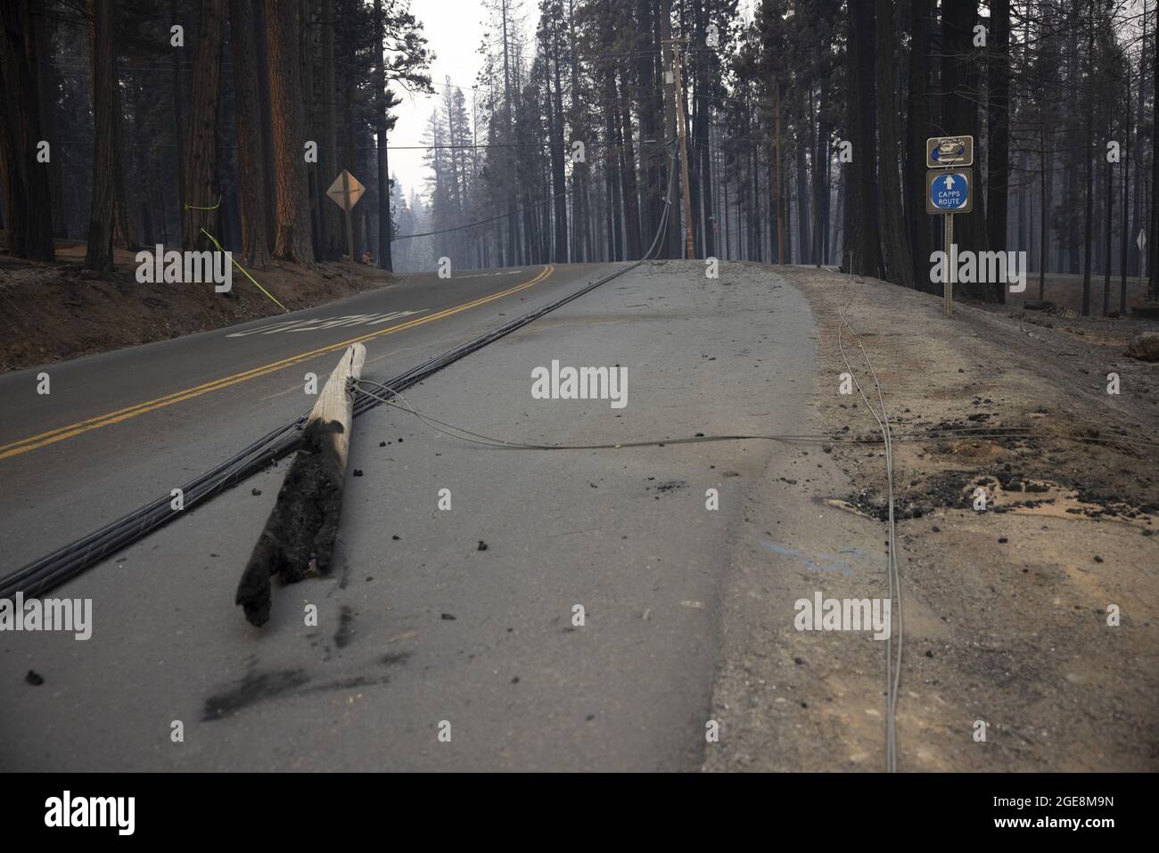 Burned utility pole hi-res stock photography and images - Alamy