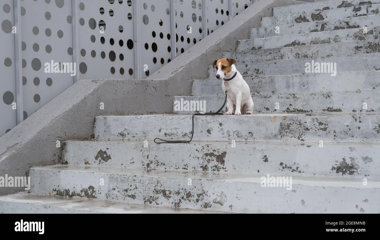 Unhappy jack hi-res stock photography and images - Alamy