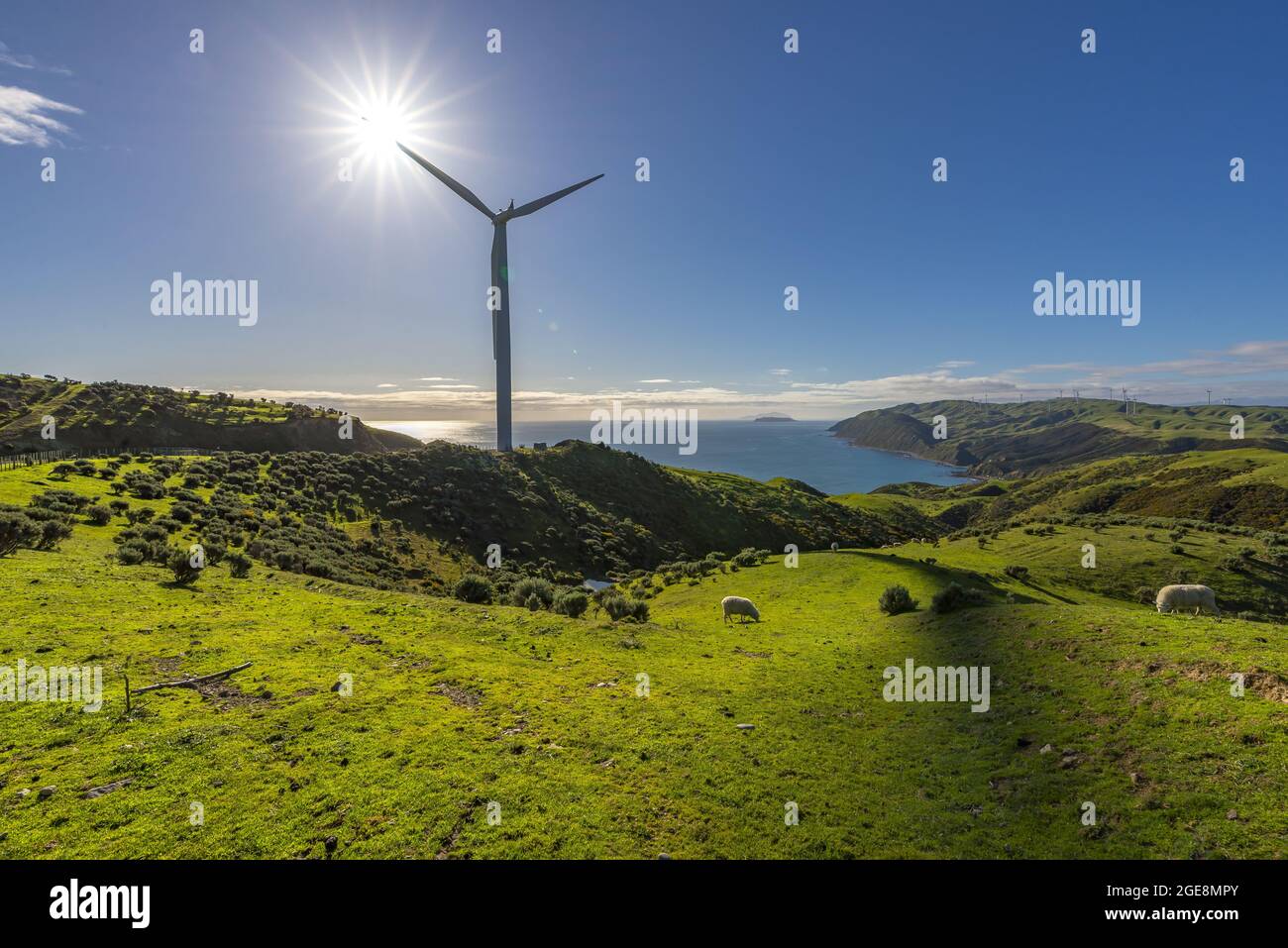 Wellington windfarm hi-res stock photography and images - Alamy