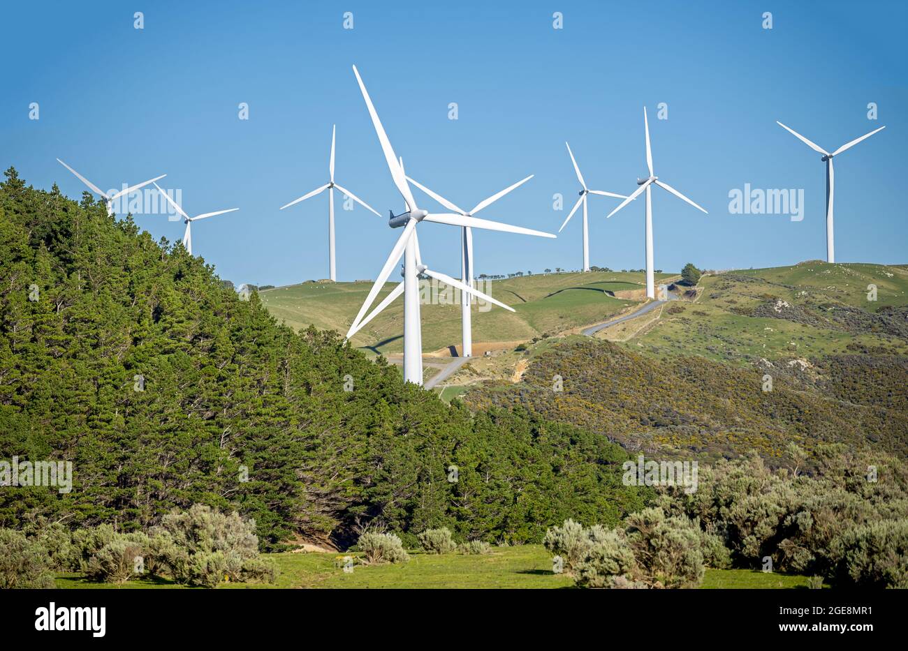 Makara farm hi-res stock photography and images - Alamy