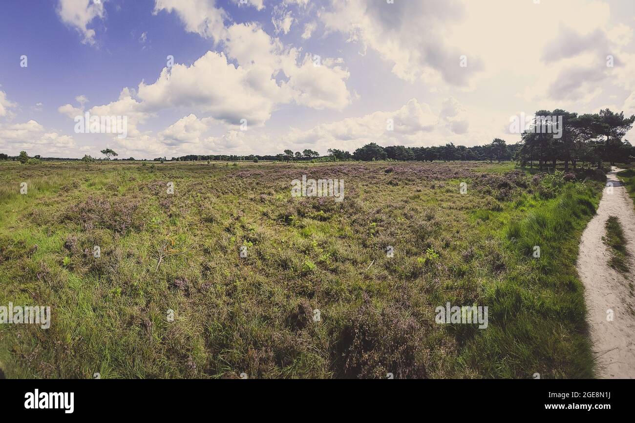 Belgium nature landscape hi-res stock photography and images - Alamy