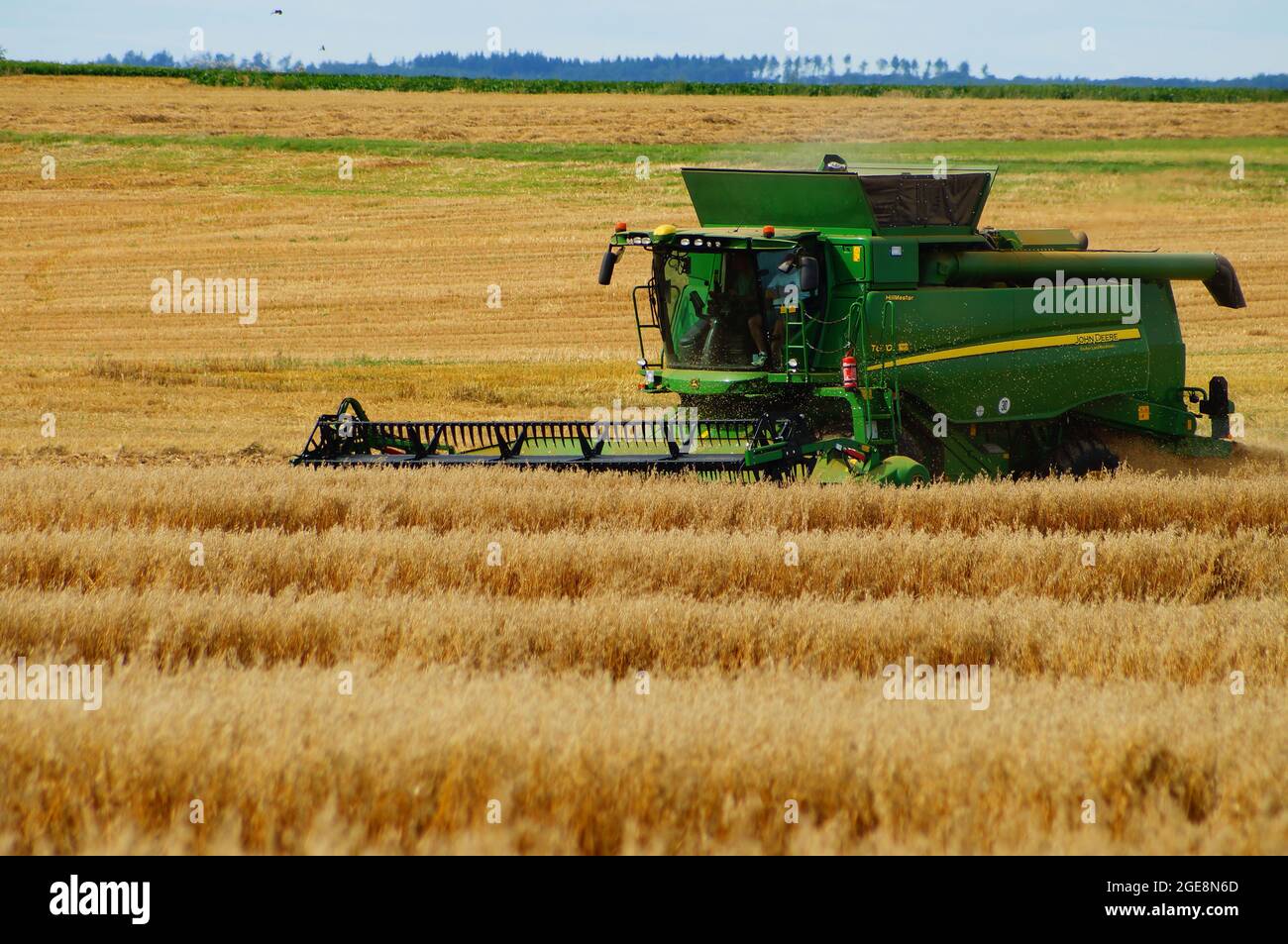 The oat harvest is brought in Stock Photo - Alamy
