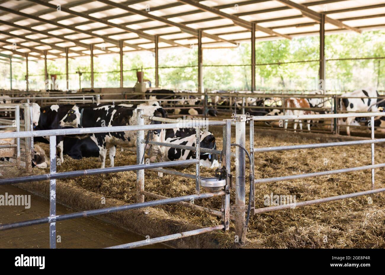 Modern dairy farm interior hi-res stock photography and images - Alamy