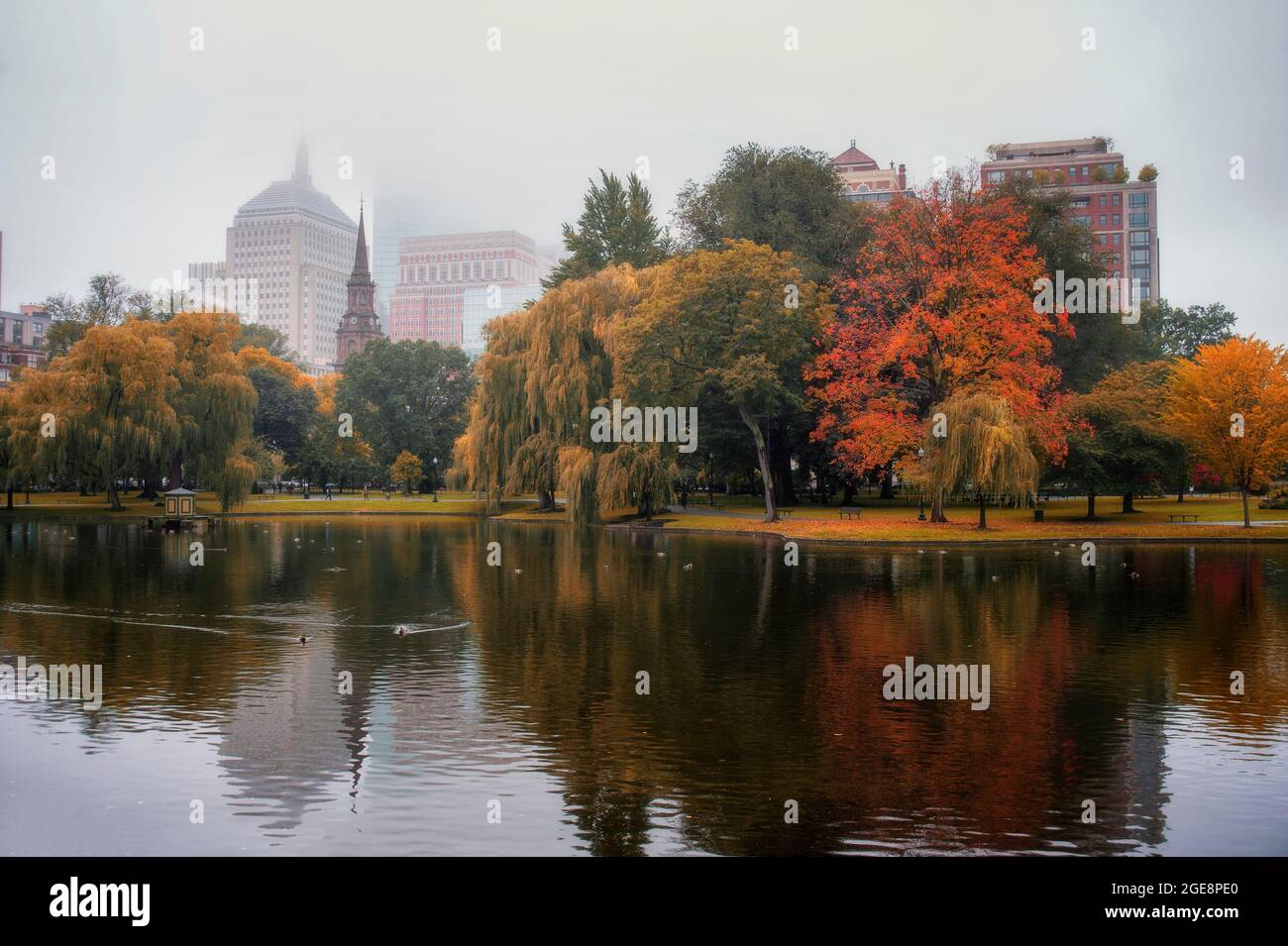 Foliage at Boston Common public park, Fall foggy day in October Stock ...