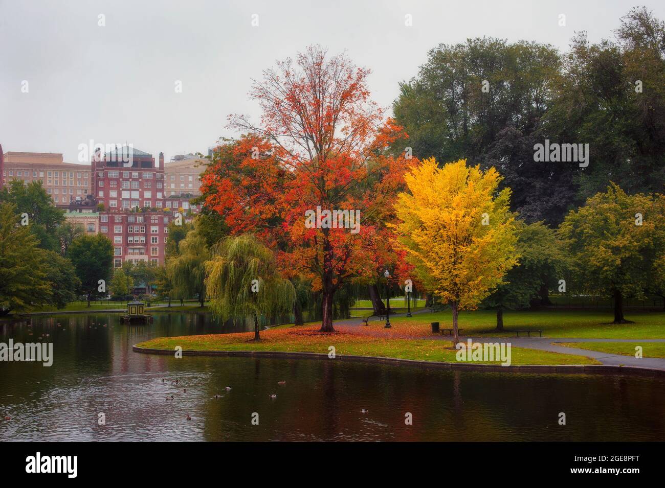 Foliage at Boston Common public park, Fall foggy day in October Stock ...