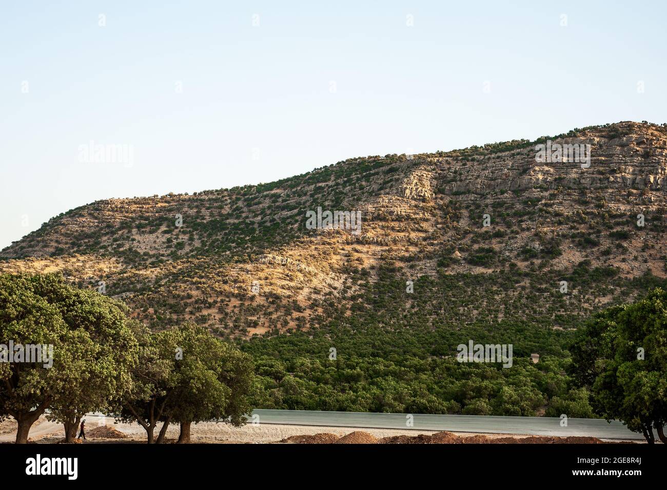 Rocky Mountains with oak trees at sunset, A panoramic view of northern ...
