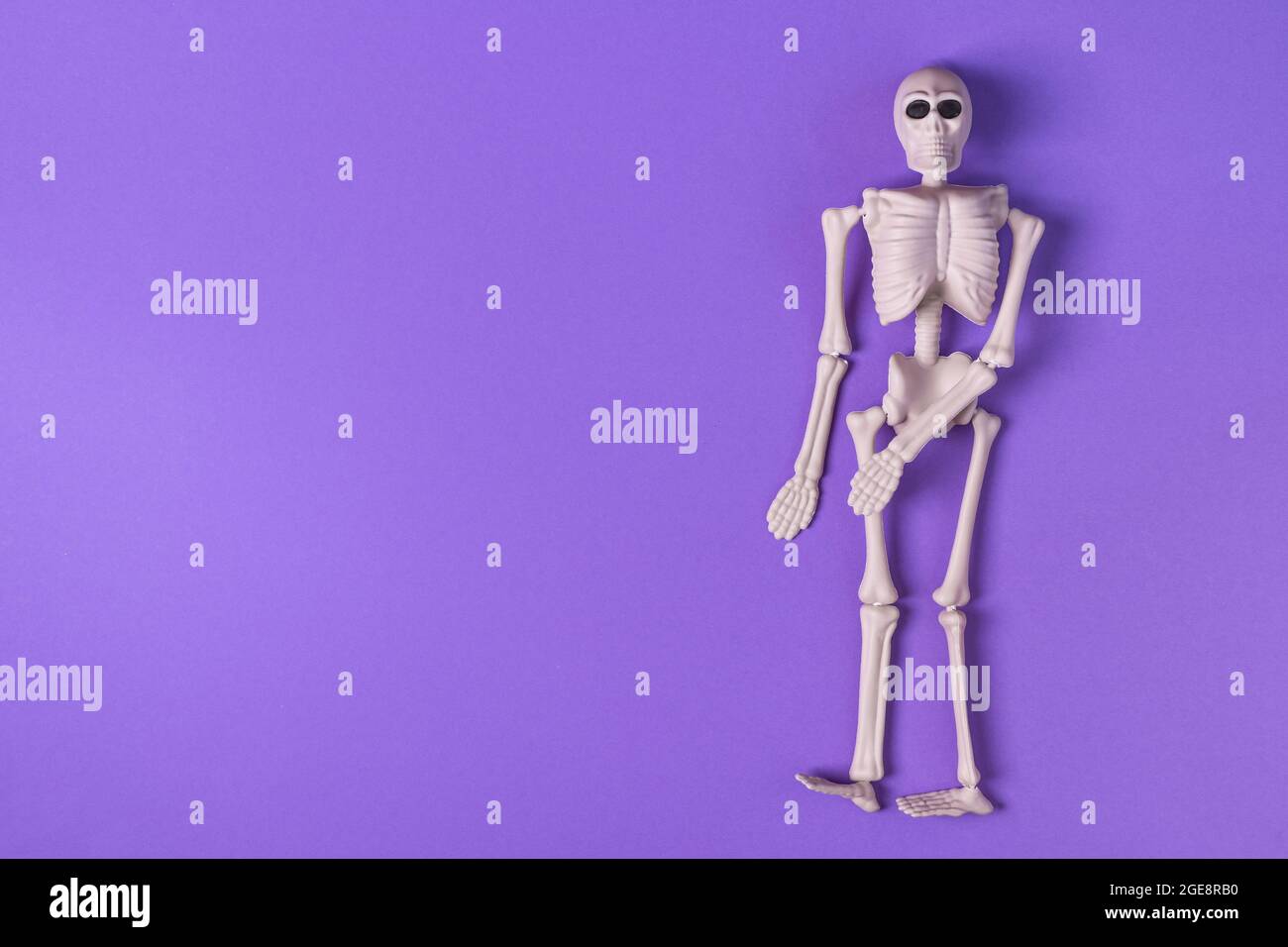 Human skeleton top view hi-res stock photography and images - Alamy