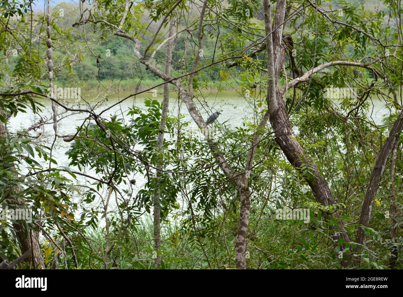 Tecoman mexico hi-res stock photography and images - Alamy