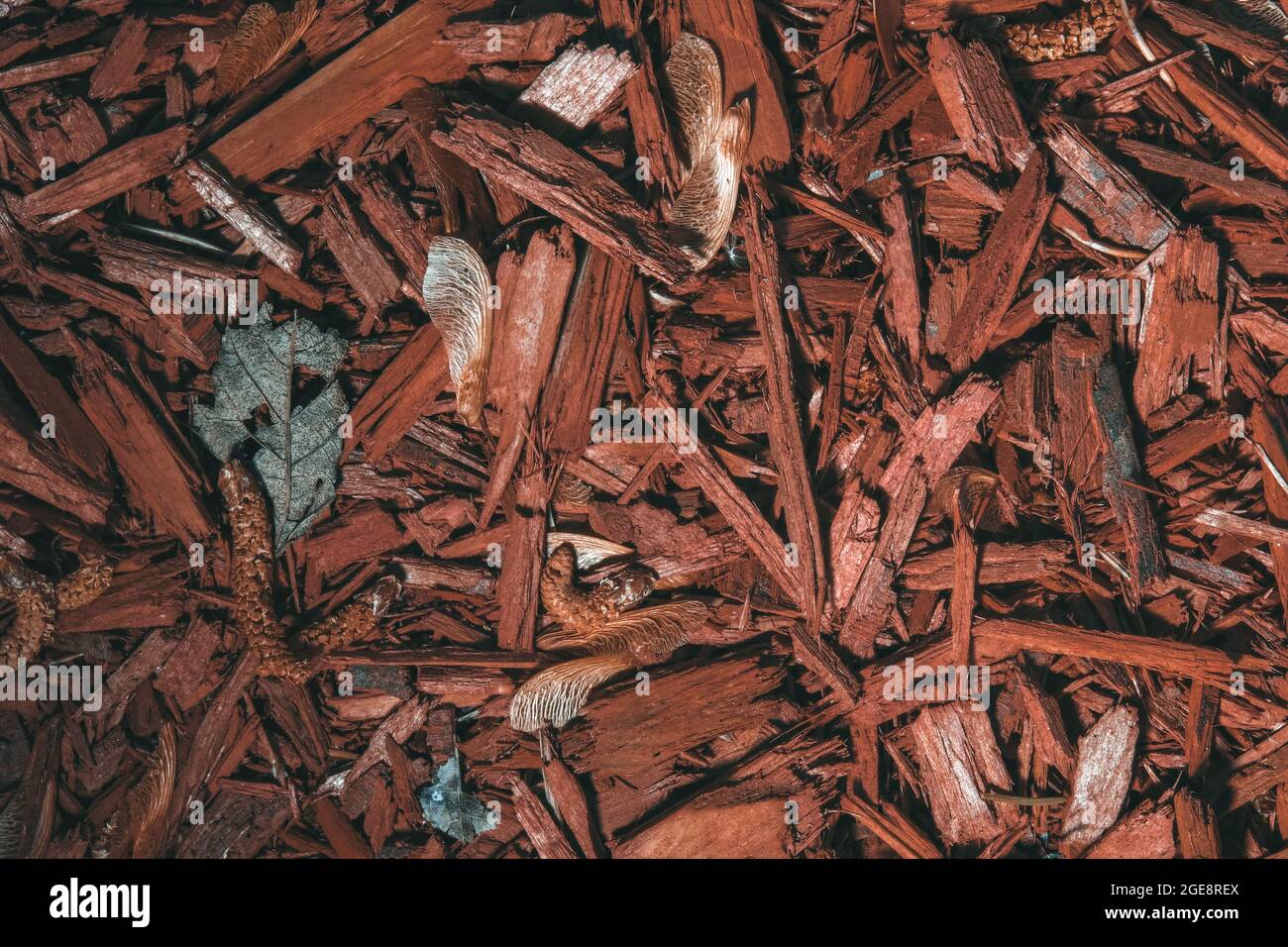 Top view of bark pieces on the ground Stock Photo - Alamy