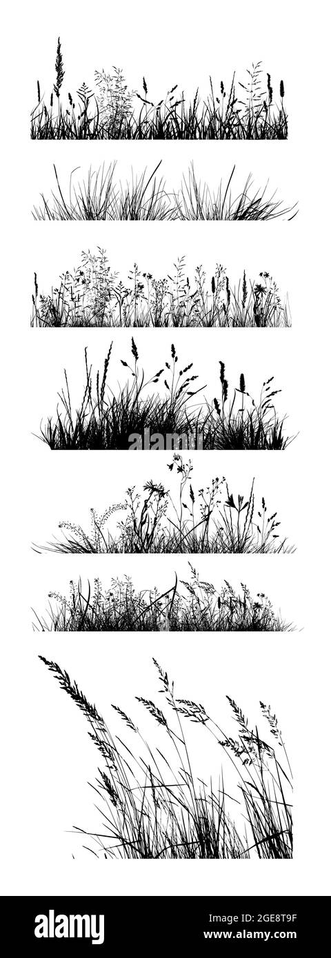 Set of grass lines. Herbal horizontal background. Vector Illustration ...