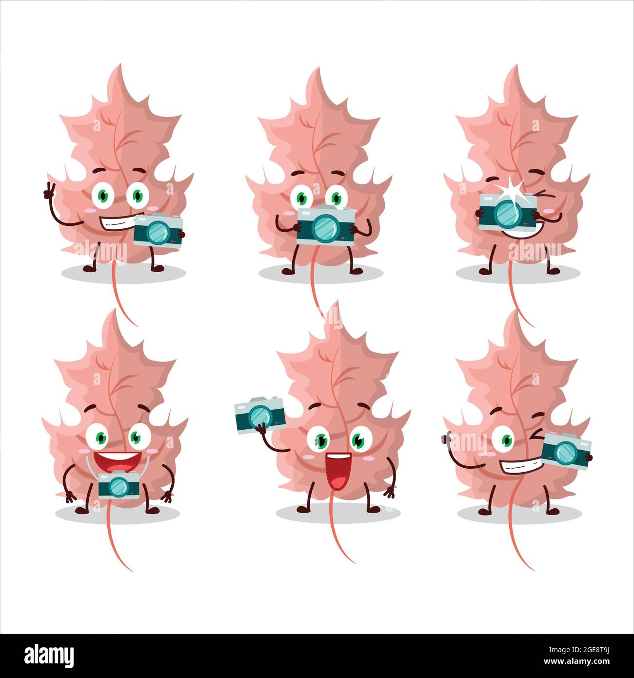 Photographer profession emoticon with oak pink leaf cartoon character ...
