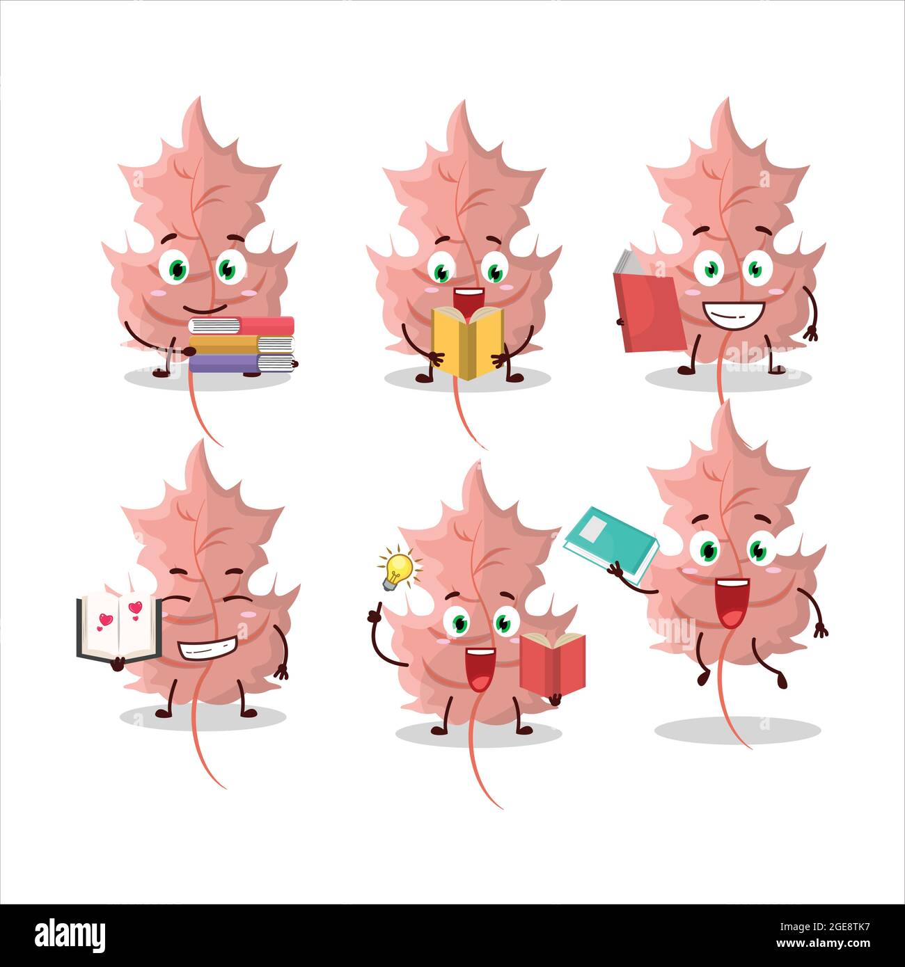 A picture of oak pink leaf cartoon character concept reading an amusing ...