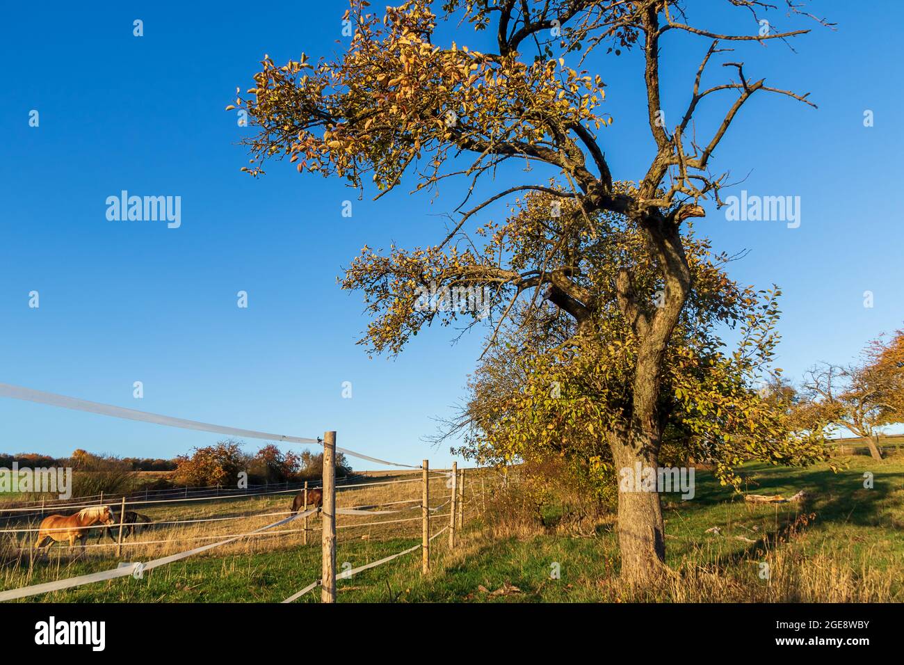 Rural landscape behind the spa gardens in Bad Saulgau, Germany Stock ...