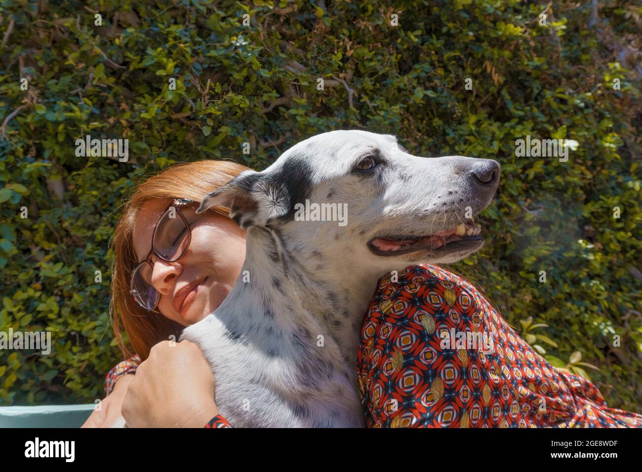 Young Hispanic female chilling with her dog on a bench in a park Stock ...