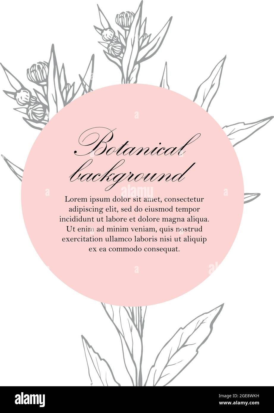 Natural background. Organic botanical design template. Hand drawn ...