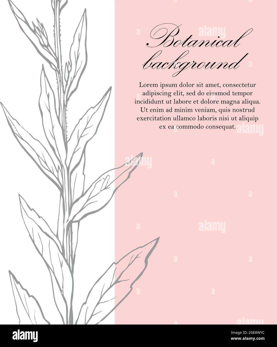 Natural background. Organic botanical design template. Hand drawn ...