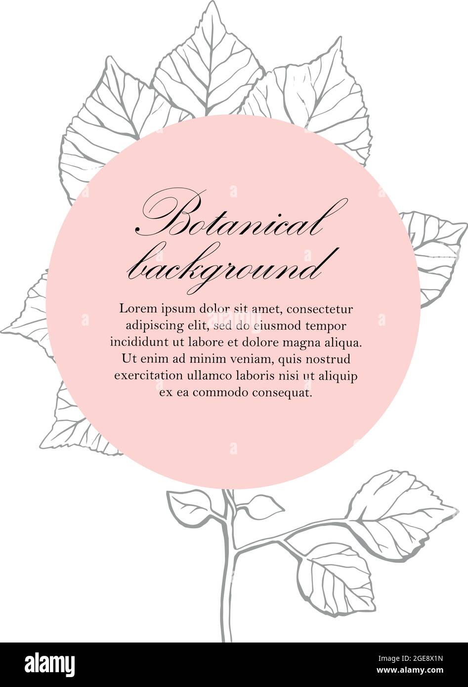 Natural background. Organic botanical design template. Hand drawn ...