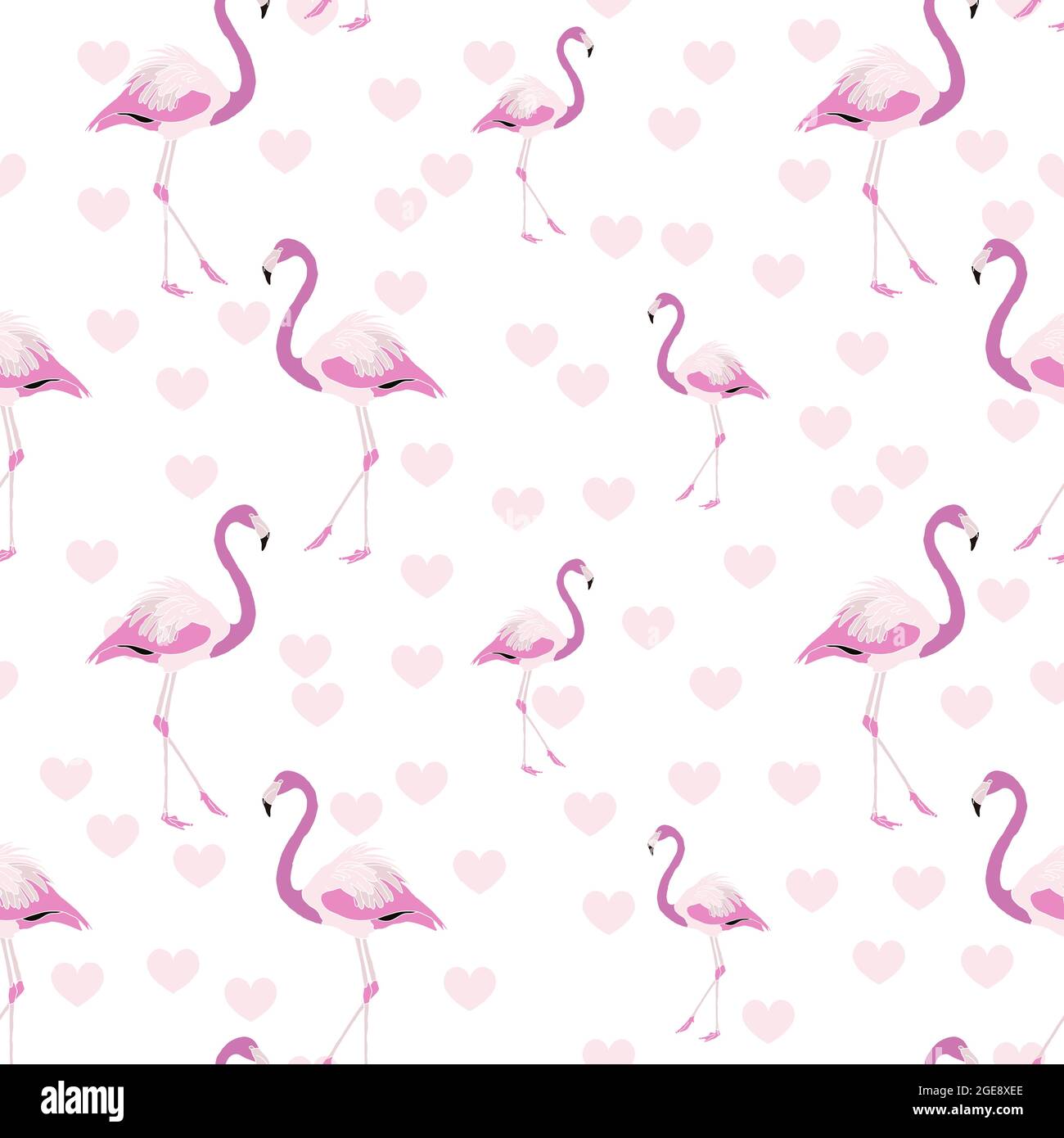 Flamingo bird heart hi-res stock photography and images - Alamy