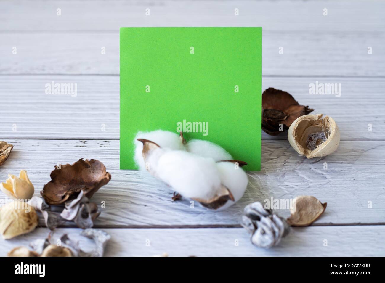 Blank Piece Of Sticky Note Placed On Top Of Table With Cotton Plant ...