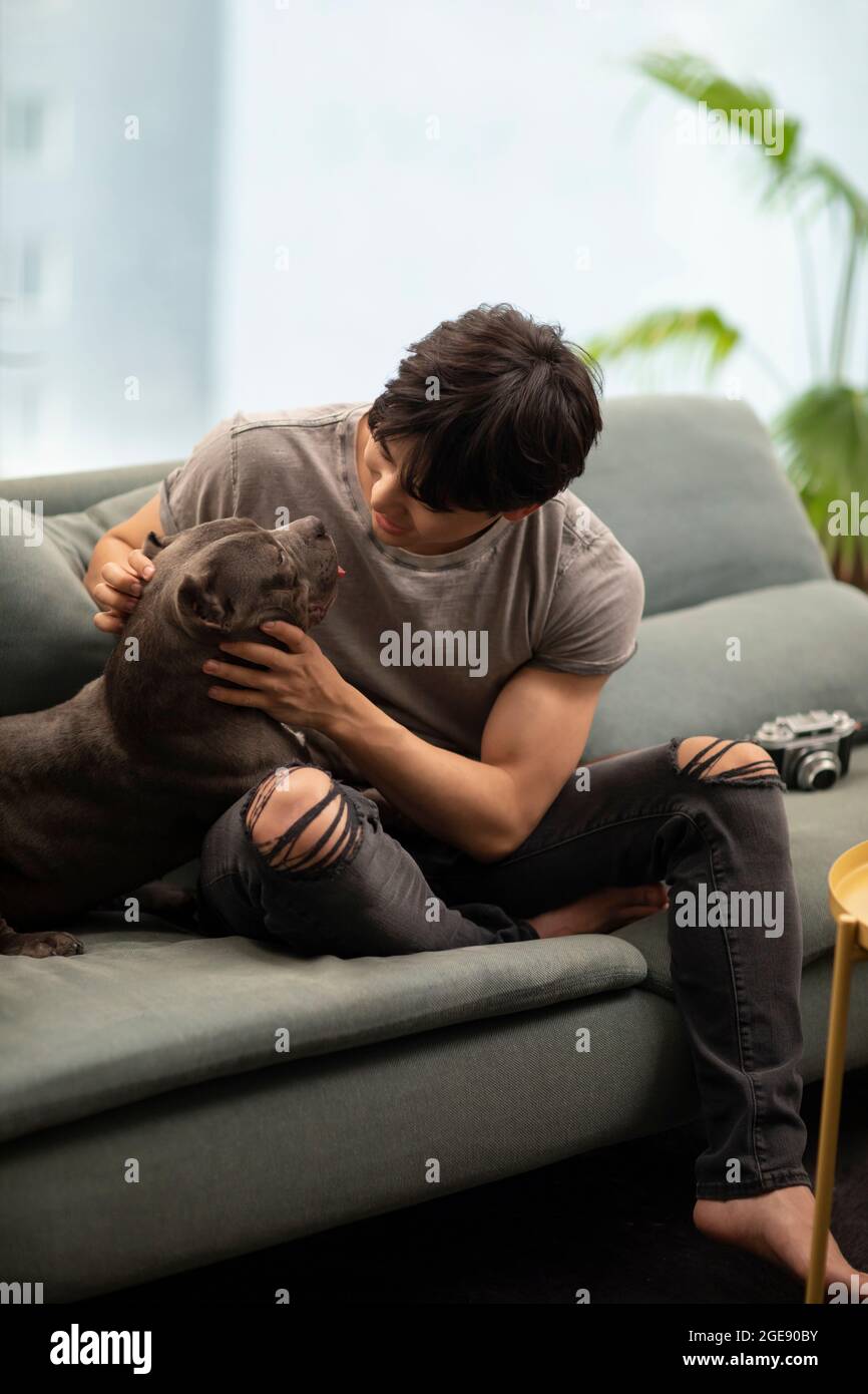 Young Chinese man with pet dog on sofa Stock Photo - Alamy