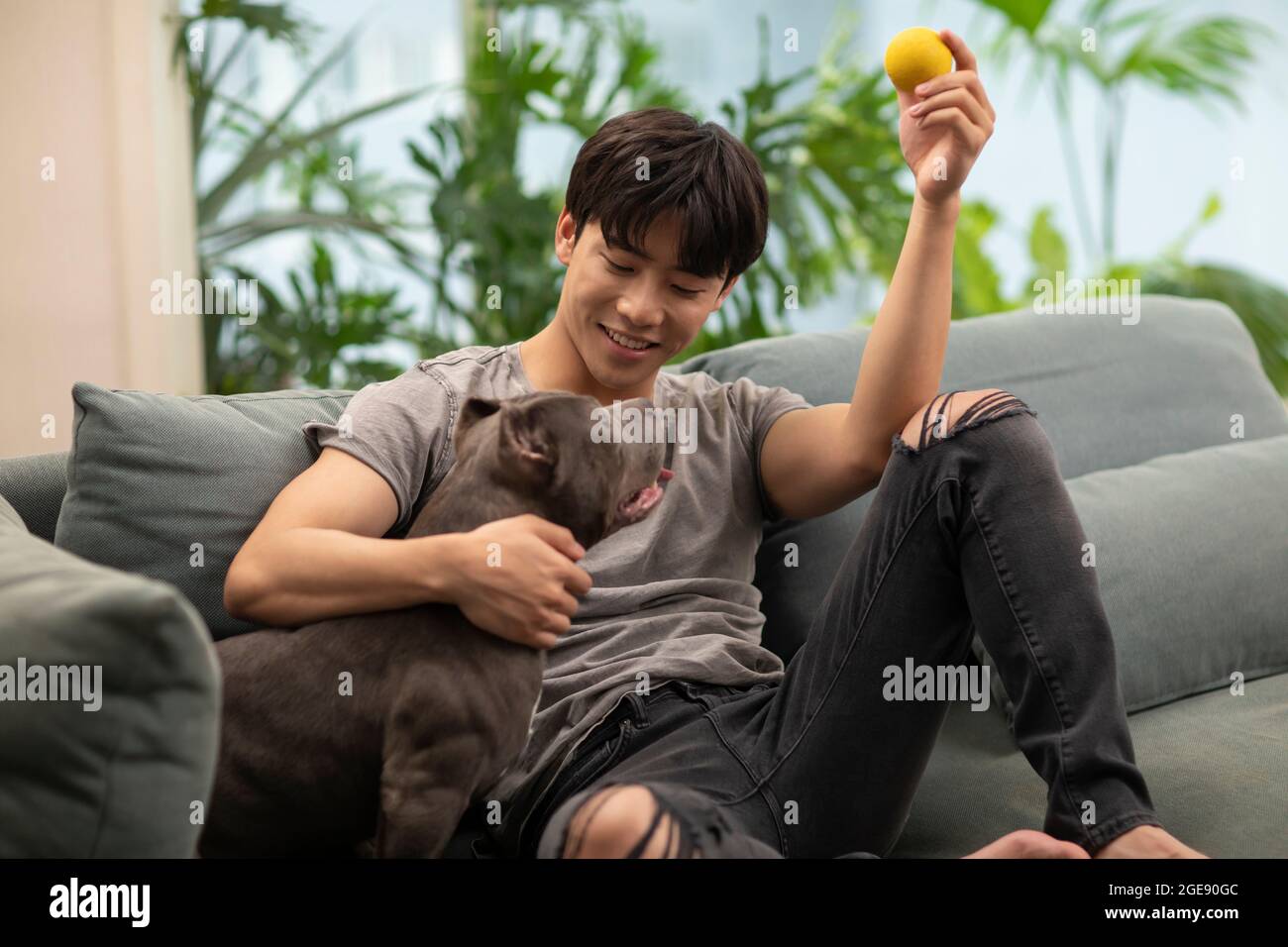 Young Chinese man with pet dog on sofa Stock Photo - Alamy