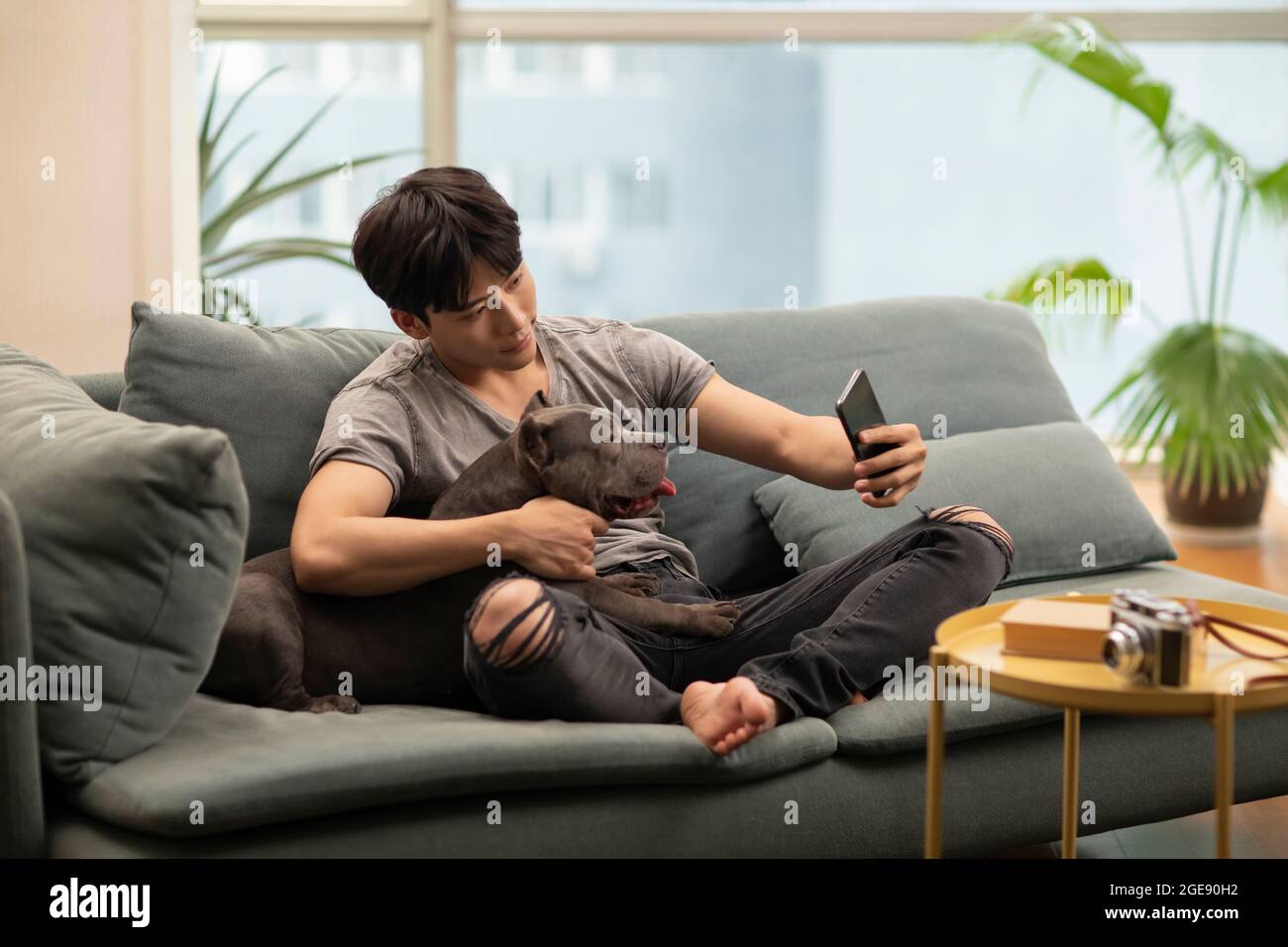 Young Chinese man with pet dog on sofa Stock Photo - Alamy