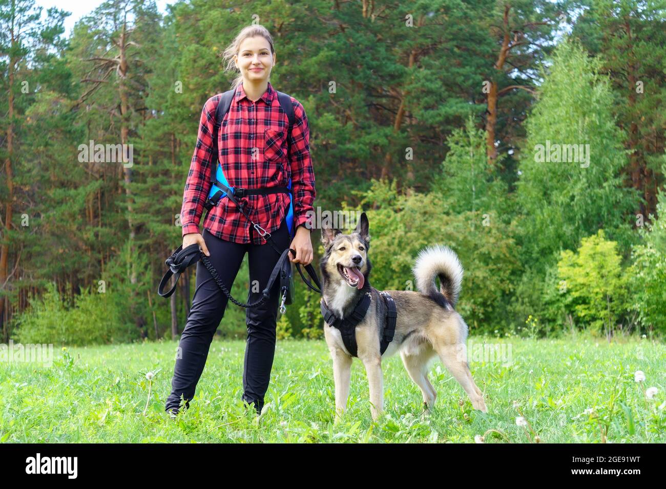 A girl walks with a dog warm day, a pleasant walk through the forest ...