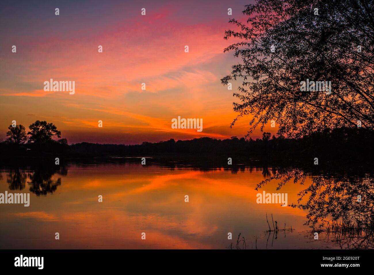 bright orange sunset over a pond with silhouettes of trees Stock Photo ...