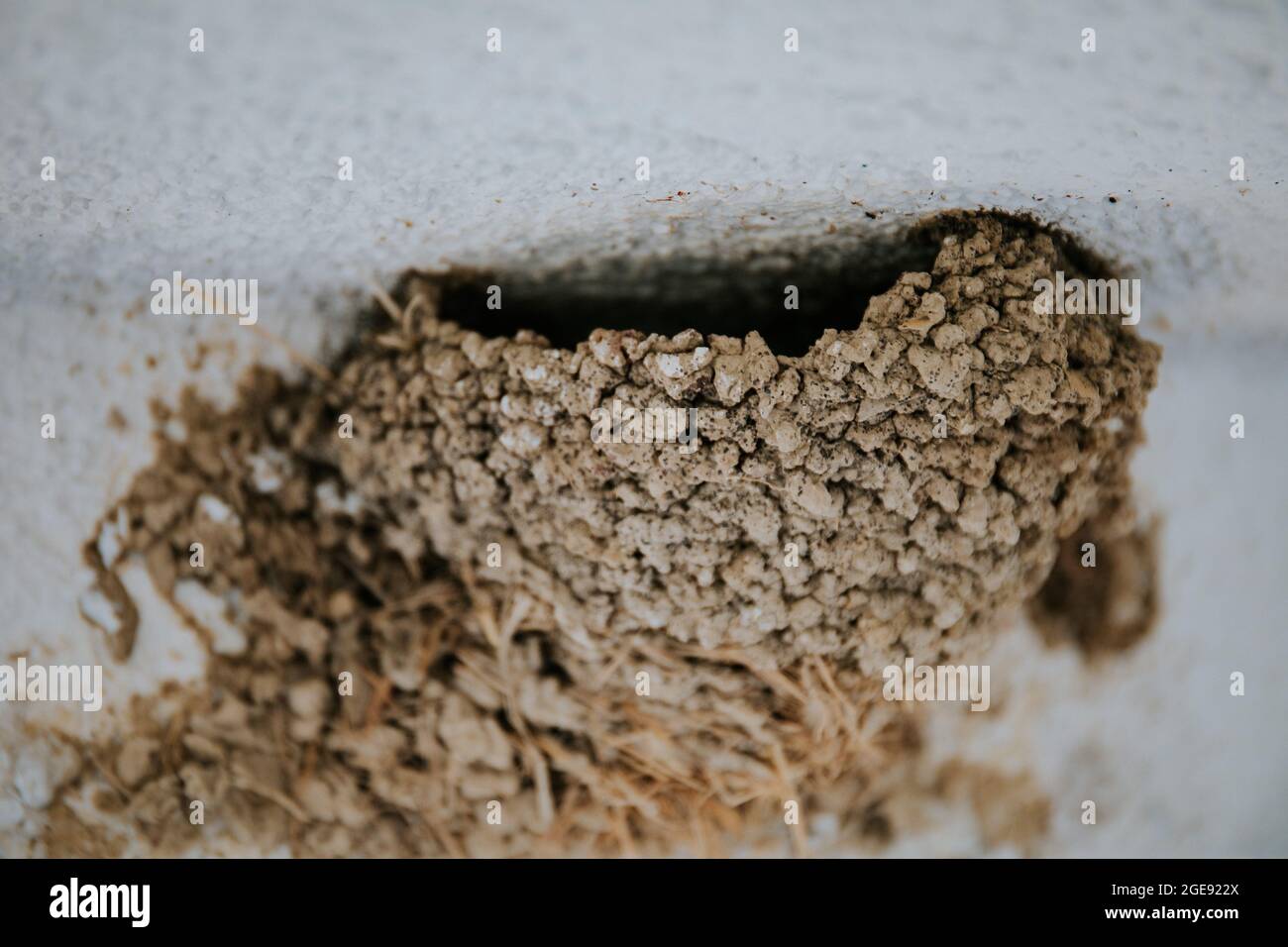 Mud on the ground hi-res stock photography and images - Alamy