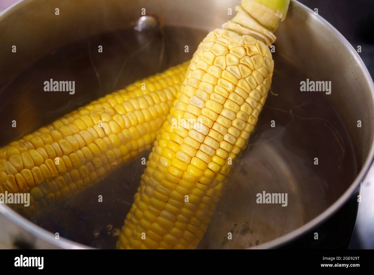 Yellow corn cobs boiling hi-res stock photography and images - Alamy