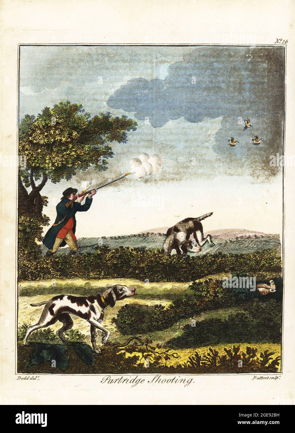 Shooting game birds hi-res stock photography and images - Alamy