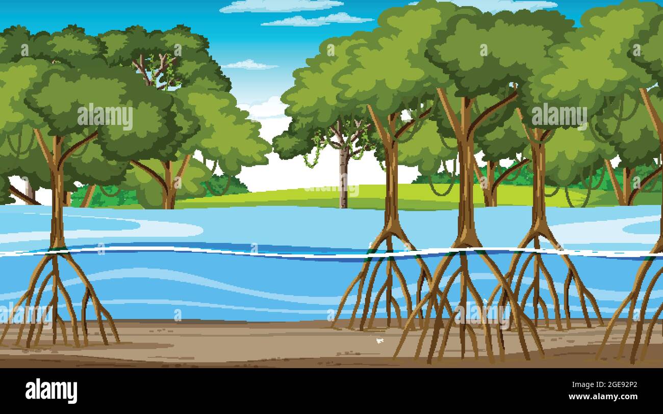 Nature scene with Mangrove forest at daytime in cartoon style ...