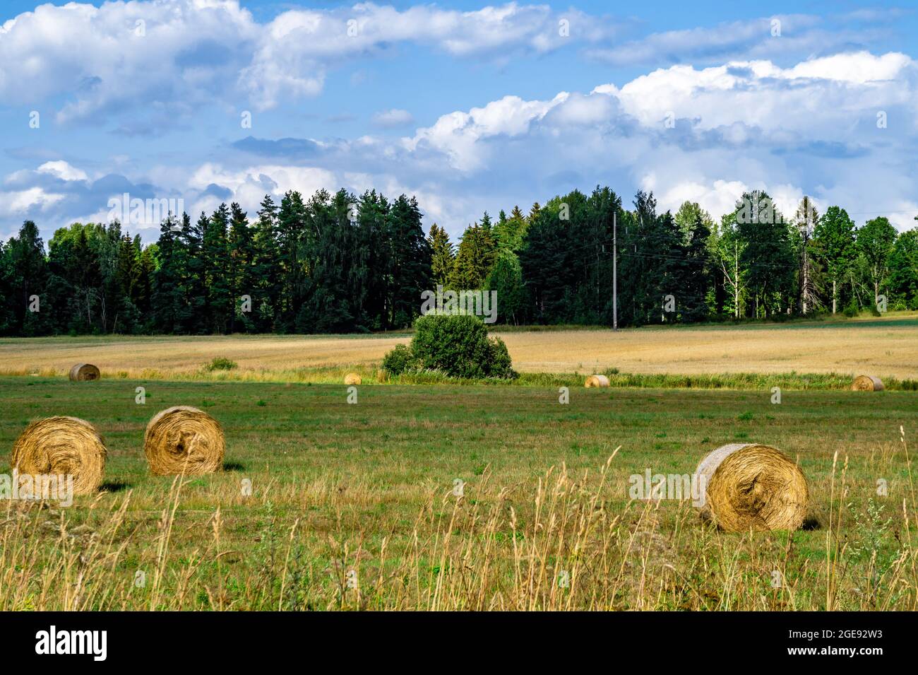 Field in forest haystacks hi-res stock photography and images - Alamy